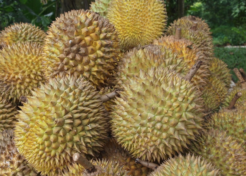 Durian · raw or frozen | 147 calories | Happy Forks