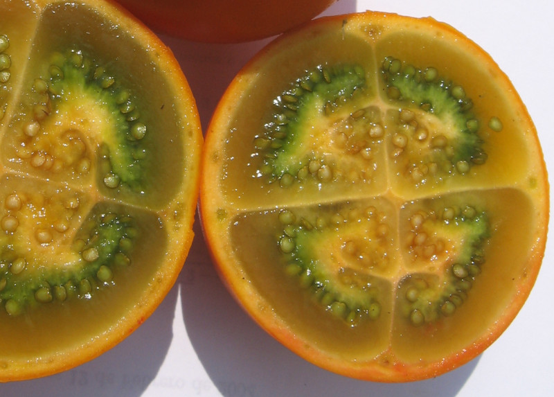 Naranjilla (lulo) pulp · frozen · unsweetened | 25 calories | Happy Forks