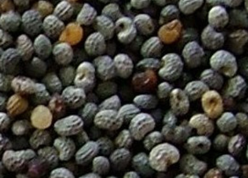 Spices · poppy seed | 525 calories | Happy Forks