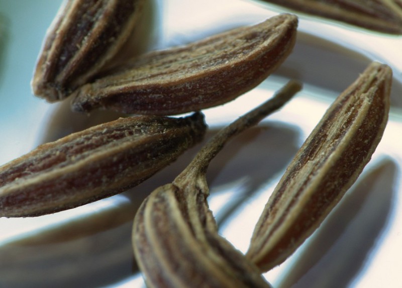 Spices · caraway seed | 333 calories | Happy Forks