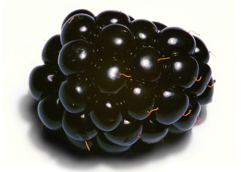 Blackberries · wild · raw · (Alaska Native) | 52 calories | Happy Forks