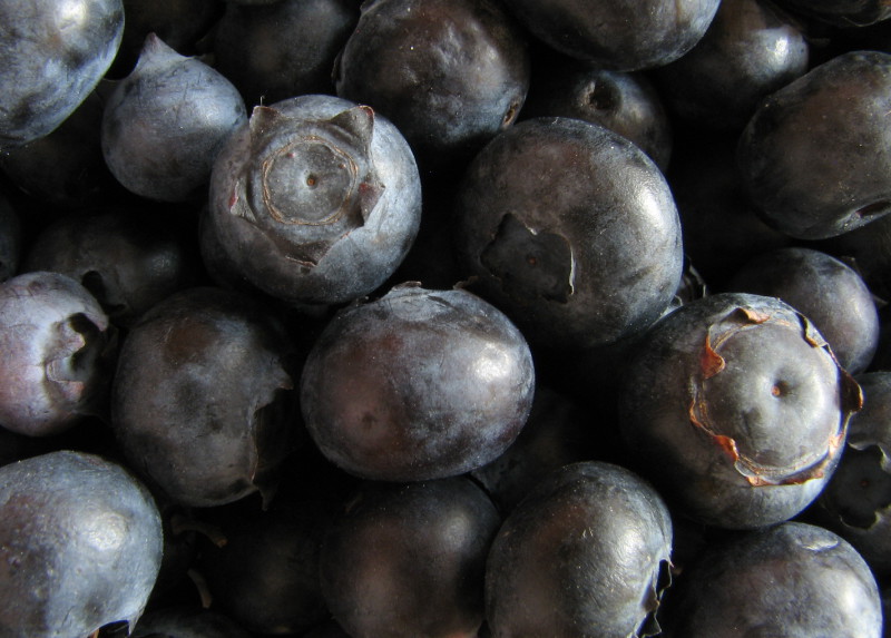 Blueberries · wild · raw · (Alaska Native) | 61 calories | Happy Forks