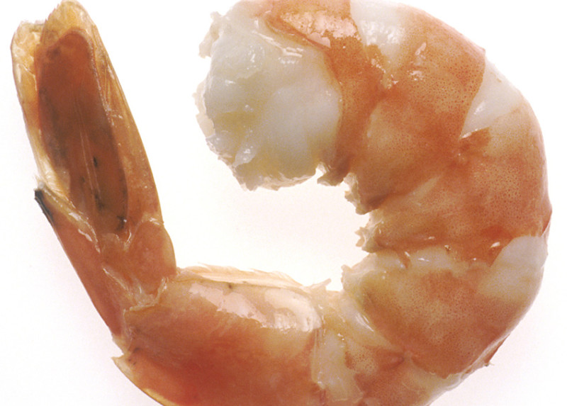 Crustaceans · shrimp · coated · fried | 194 calories | Happy Forks