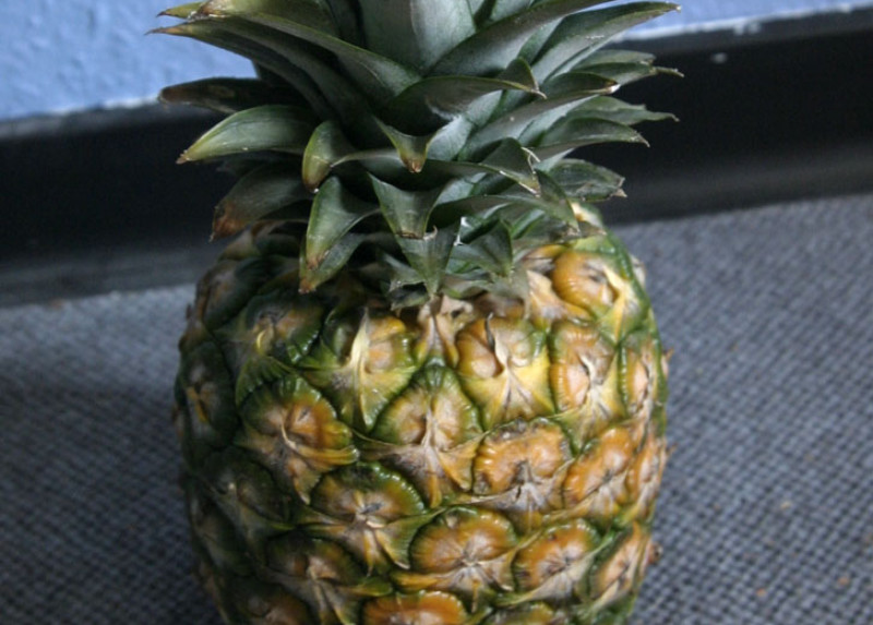 Pineapple · canned · juice pack | 60 calories | Happy Forks